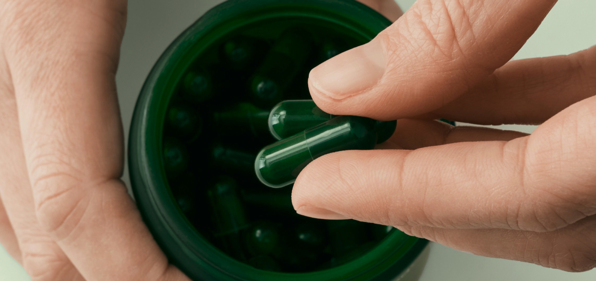 Bifidobacterium lactis: What Science Says About This Gut Microbe